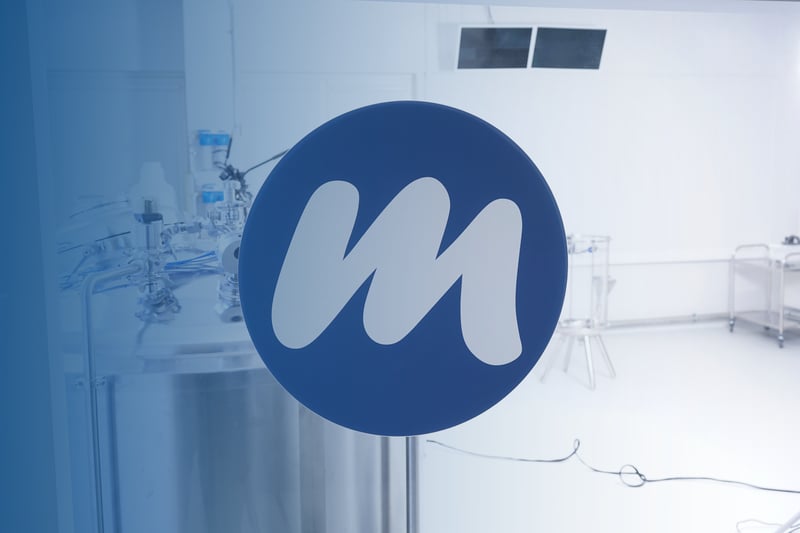 Career at Metenova
